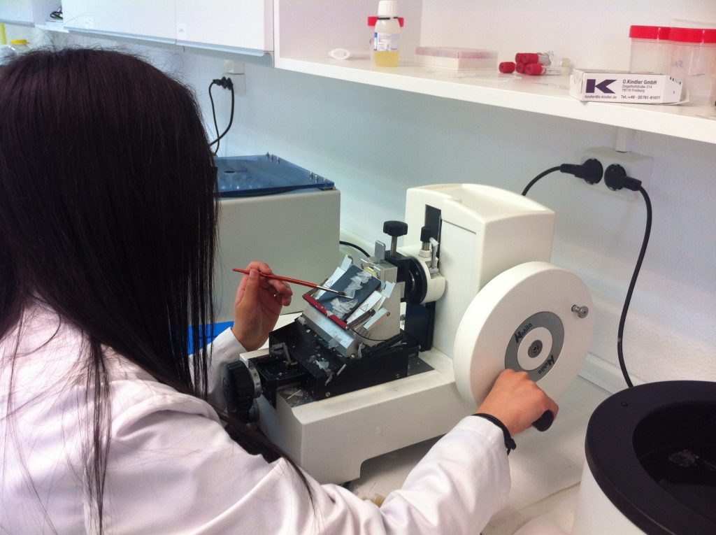 Práctica con Microtomo - Ciclo Anatomia